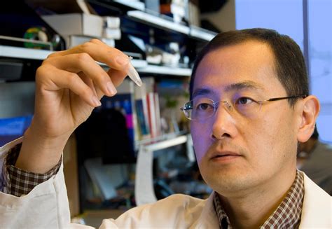 Japanese Stem Cell Researcher Wins 2012 Nobel In Medicine