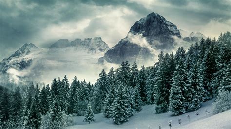 Snowy Winter Forest 4k Wallpapers Wallpaper Cave