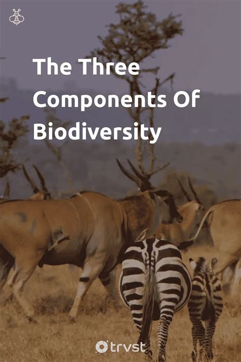 The Three Components Of Biodiversity