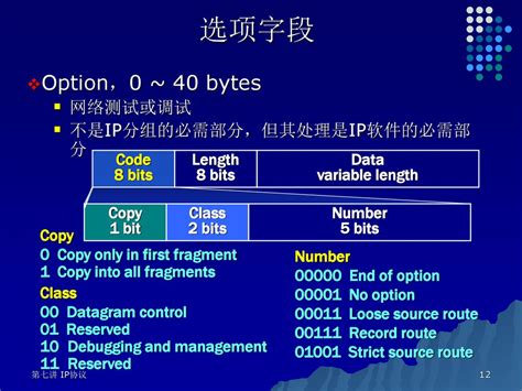 第七讲 网际协议ip Ppt Download