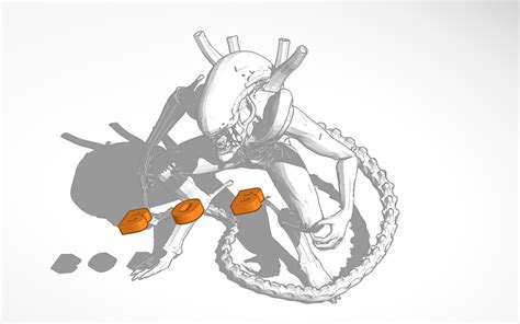 3d Design Stuff Tinkercad