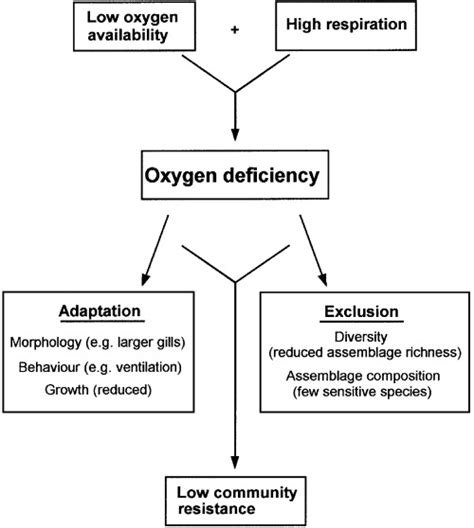 Conceptual Diagram Showing Causes And Consequences Of Oxygen Deficiency