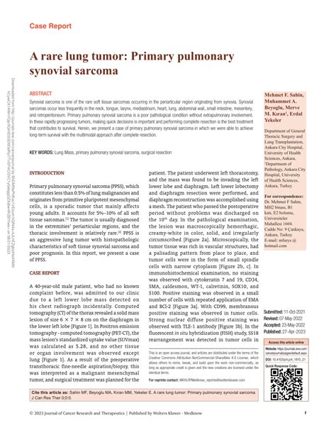Pdf A Rare Lung Tumor Primary Pulmonary Synovial Sarcoma