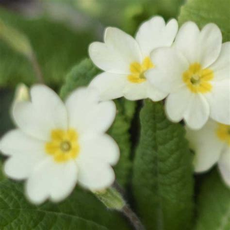 Coll Bunkhouse Coll Bunkhouse