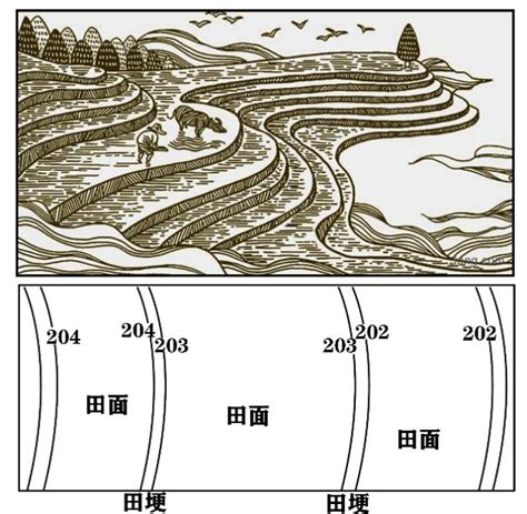【地理专题】微专题 干热河谷，附各种地形图知识点总结攀枝花市等高线比例尺土桥元谋新浪新闻