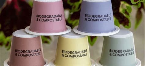 Buying Compostable Cups Wholesale Complete Cheat Sheet