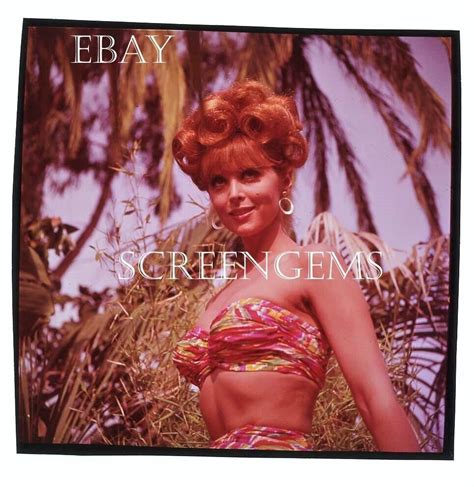 Tina Louise Gilligans Island Original Cbs Tv Photo Transparency