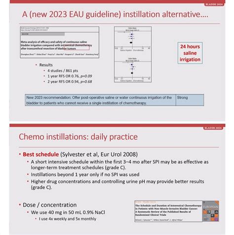 Highlights From Bladdr 2024 By María Natalia Gandur Quiroga Oncodaily