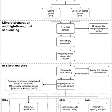 Sashimi Plot Visualizing The Detected Coverage Of Rna Seq Reads On