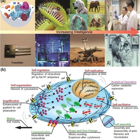Self‐assembly Ab Electrostatic Self‐assembly Of Oppositely Charged