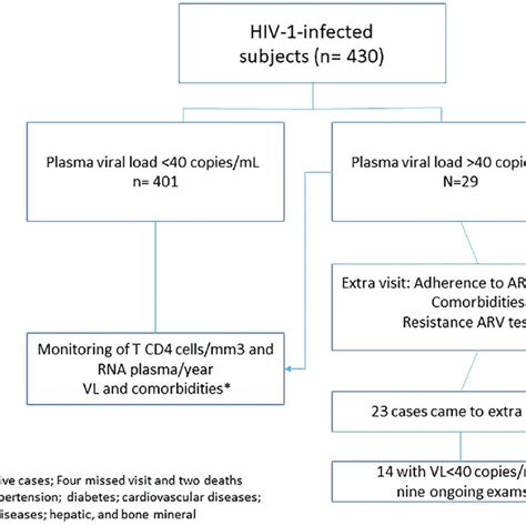 Algorithm Used To Define Successful Strategies To Reach Hiv Control Download Scientific Diagram