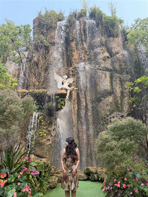 Lalita Cafe Chiang Mai Thailand 🧚‍♀️🦋🌺 In 2025 Thailand Vacation