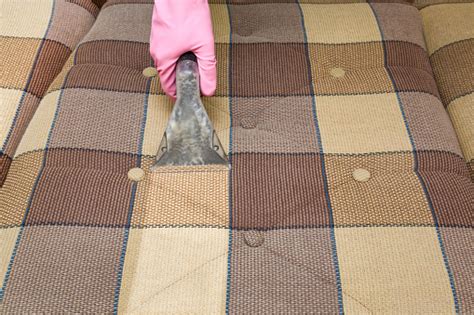 소파 화학 전문적으로 추출 방법으로 청소입니다 갈 퀴의 노즐을 잡고 고무 보호 장갑에 손을 덮개 씌운된 가구입니다 이른 봄 또는