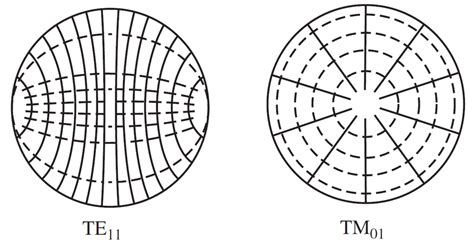 Field Pattern Of The T E And T M Mode Download Scientific Diagram