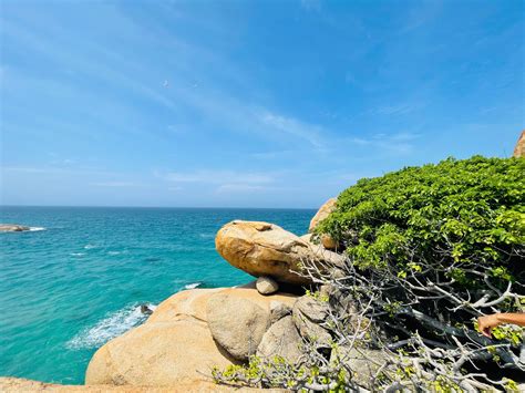 Targeted Management Of Invasive Species Could Reduce Eu Species Extinction Risk By 16 Press