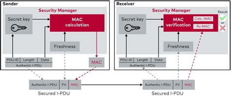 Security Manager Testen Von Security Geschützten Steuergeräten Und Netzwerken Vector