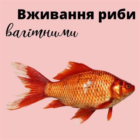 Вживання риби вагітними Доктор Елена Березовская