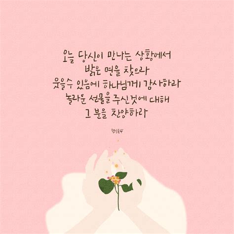 햇살콩 캘리그라피 하나님의 복음을 전하는 씨앗 햇살콩🌿 [ 웃음 이라는 선물 ️] 하나님을