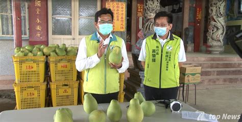 文旦進入採收期 議員爭取大果收購與加工 鑫傳國際多媒體科技股份有限公司 Tdn台灣生活新聞
