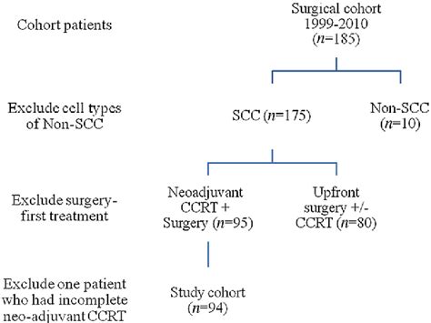 Figure 1 From The Prognostic Value Of Circumferential Resection Margin