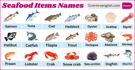 Seafood Items Names In English With Their Pictures Mr Mrs English