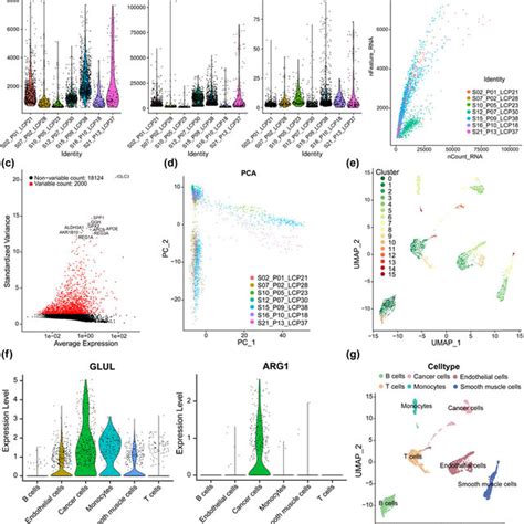 Identification Of Three States Based On Cell Trajectory Analysis And Download Scientific