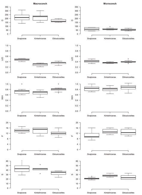 Parallel Evolution Of Median Values Of Different Morphological