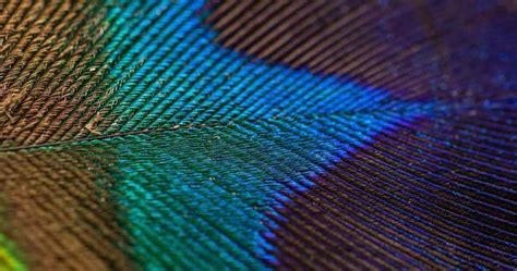 Introducing The Cloud Native Landscape 2 0 Interactive Edition Cncf