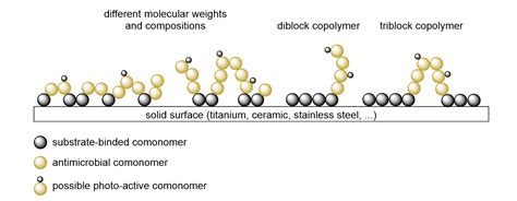Structure Property Relationships Of Antimicrobial Polymers