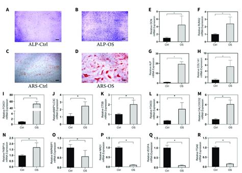 The Mrna Expression Level Of The Top 20 Differentially Expressed Args Download Scientific