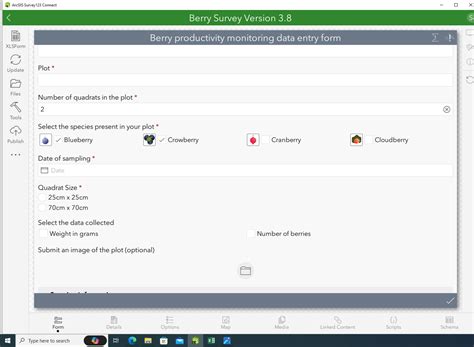 Solved Selected At Calculation Not Working In Web Form Esri Community