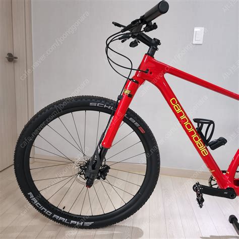 캐논데일 Mtb 자전거 로드바이크사이클 중고나라