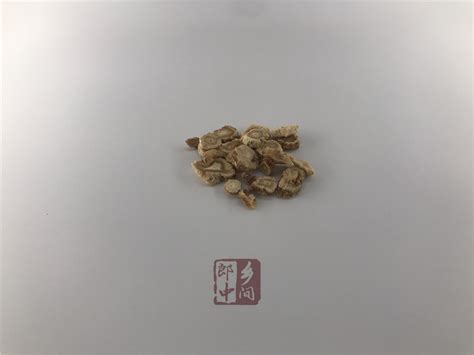 北沙参的功效与作用 图片 禁忌 乡间郎中