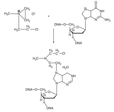 Alkylating Agents Structure Properties Uses Synthesis Assay Storage Dosage Forms Dose