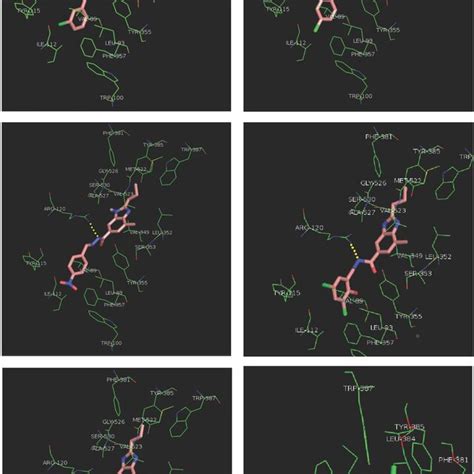 Molecular Docking Conformations Of Compounds 5d 5m P And