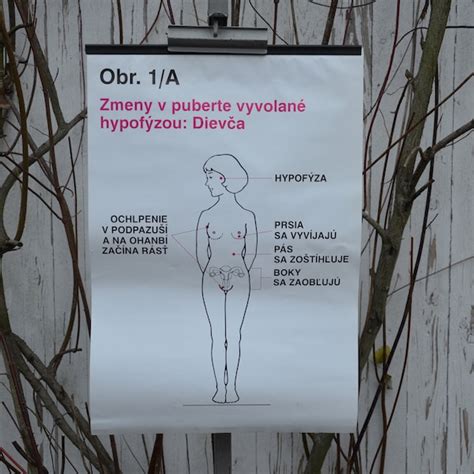 Sex Chart Print Etsy Sex Chart Print Etsy