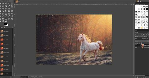 Photo Editing For Everyone Multiple Layers In Gimp How To Select It