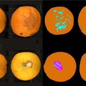Region Growing Process To Detect Defects In Citrus Fruits A Original Download Scientific