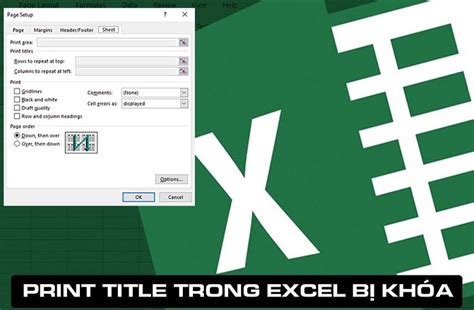 Instructions On How To Open When Print Title In Excel Is Locked
