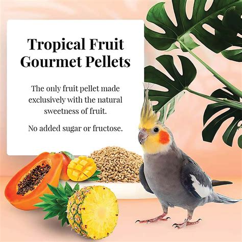Lafeber Tropical Fruit Gourmet Pellets Cockatiel Food