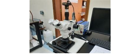 Stereo Microscope With Led Attachment Download Scientific Diagram