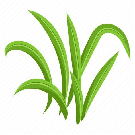 Grass Turf Grass Patch Garden Grass Scutch Grass Icon Download On