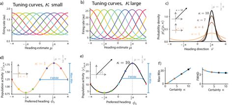 Encoding The Heading Direction Estimate In Neural Population Activity