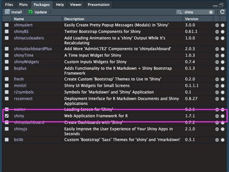 R Shiny 173 Package Is Not Discoverable On R Server On Ubuntu 20