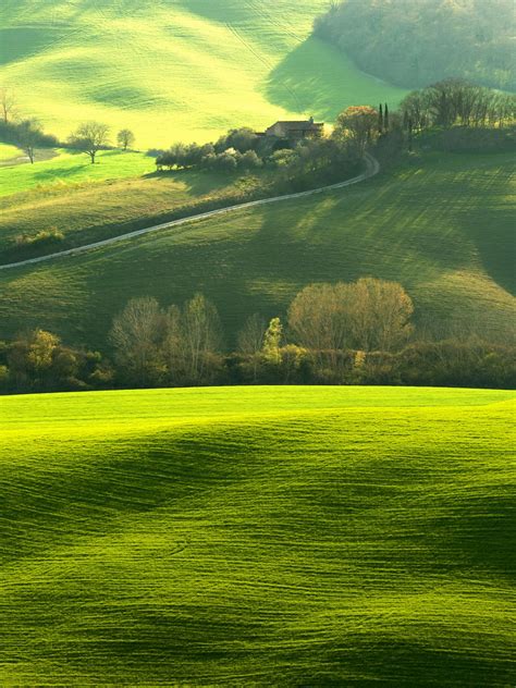 Nature 4k Hd Portrait Wallpapers Wallpaper Cave
