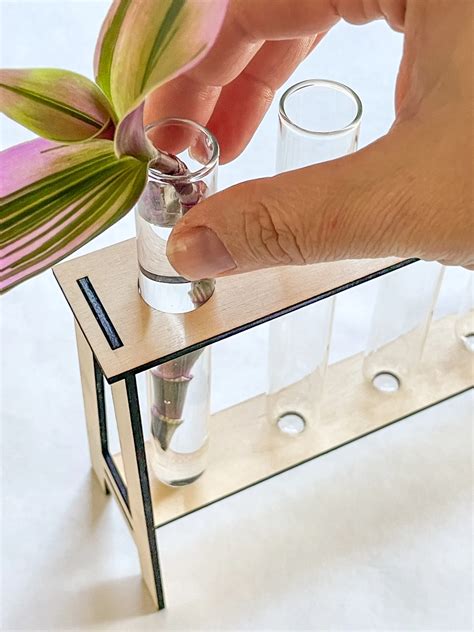 Diy Plant Propagation Station The Handymans Daughter