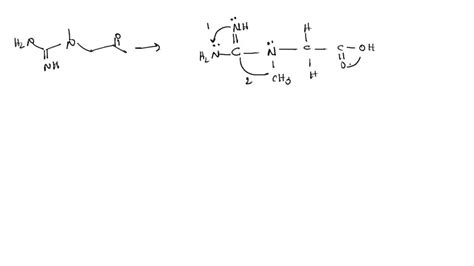 Solved Creatine Has The Structure Shown Here Estimate The Values Of
