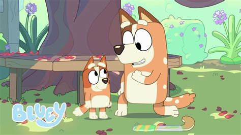 Did Chili From Bluey Have A Miscarriage At Richard Ranck Blog