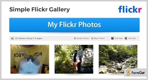 4 Flickr Wordpress Plugins 2022 Free And Paid Formget