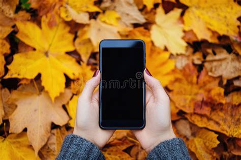 Top View Of A Woman Hands Holding Smartphone With White Blank Screen